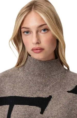 ALLSAINTS Star Turtleneck Sweater - Doe Brown/black