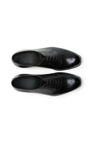 ANTHONY VEER Turin Oxford - Antique Black