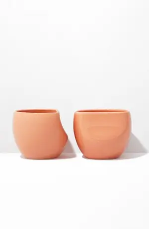 FORS STUDIO Medium Cupset Of 2 Coral