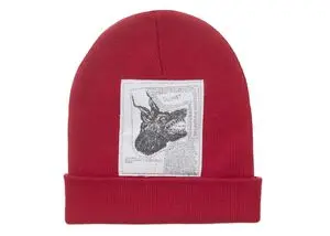 Supreme The North Face Beanie - Red