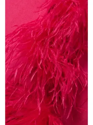 Lapointe Cutout Feather-trimmed Maxi Dress