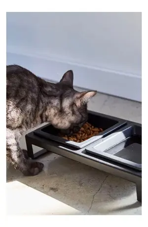 YAMAZAKI Elevated Double Bowl Pet Diner
