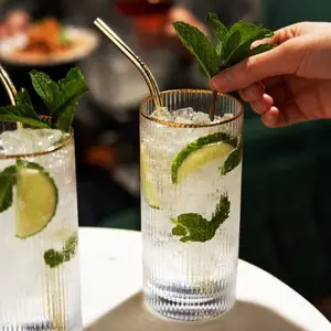 VISKI Meridian Crystal Highball Glasses Set Of 2