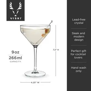 VISKI Raye Crystal Angled Martini Glasses Set Of 2