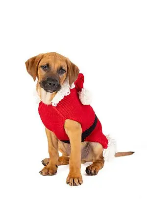CHILLY DOG Santa Dog Sweater