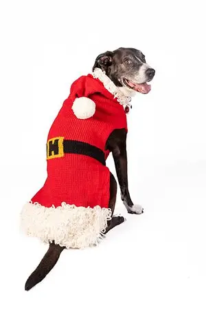 CHILLY DOG Santa Dog Sweater