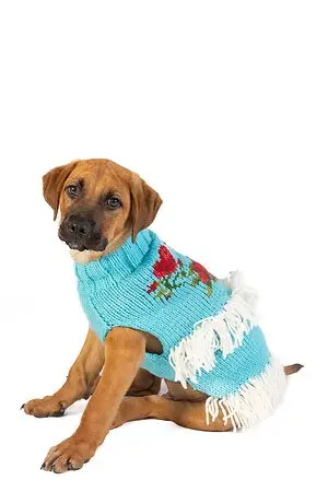 CHILLY DOG Rodeo Dog Sweater - White