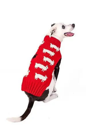 CHILLY DOG Sheep Dog Sweater
