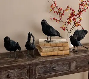 SIMPLY STUNNING BY JANINE GRAFF As Is Simply Stunninig Set/4 Decorative Ravens- Graff - One-color