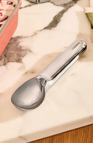 CARAWAY Ice Cream Scoop