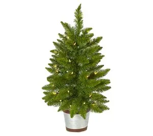 NEARLY NATURAL 2' Artificial Christmas Tree With 35 Lights By - One-color