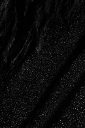Oseree Lumiere Feathertrimmed Lurex Top