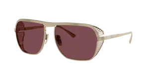 FERRARI Fh1014t Sunglasses - Bordeaux