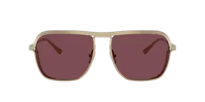 FERRARI Fh1014t Sunglasses - Bordeaux