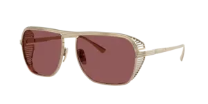 FERRARI Fh1014t Sunglasses - Bordeaux