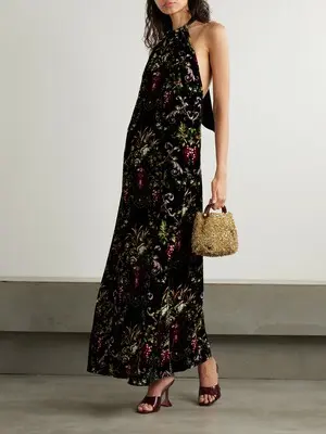 Cara Cara Geneva Floral-print Velvet Maxi Dress