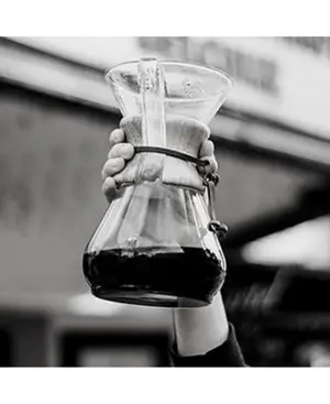 GOCOFFEEGO Torque Professor Peaberry's Drip Day & Night Decaf Drop & Guatemala