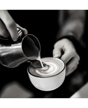 GOCOFFEEGO Torque Dark Drop Big 2lb Bulk Espresso