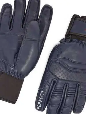 Perfect Moment Gloves - Blue