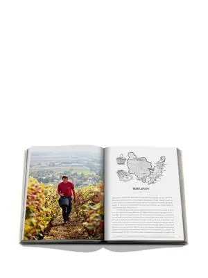 Assouline Wine & Travel France Enrico Bernardo Hardcover Book - Orange