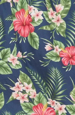 DRUTHERS NYC Organic Cotton Oahu Hawaiian Print Boxer Short - Navy