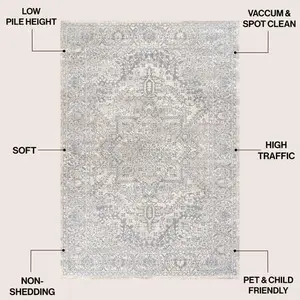 JONATHAN Y Modern Persian Vintage Medallion Area Rug