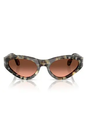 Persol 53mm Polarized Butterfly Sunglasses - Tortoise