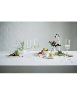 SCHOTT ZWIESEL Handmade Simplify Champagne Glass, Set Of 2