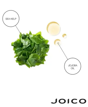 JOICO Moisture Recovery Treatment Balm For Dry Hair - No Color