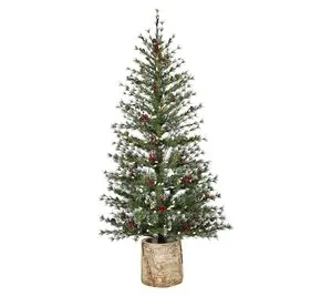 EVERGREEN 60'h Lit Artificial Christmas Tree W/ Aux Birch Pot - One-color