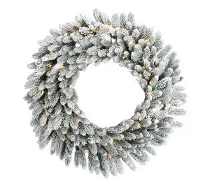 FRASER HILL FARM 24-in. Icy Frost Snow Flocked Wreath - One-color