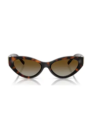 TIFFANY SUNGLASS HUT Tiffany & Co. Havana Oval Sunglasses