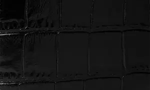 Mulberry Croc Embossed Leather Passport Wallet