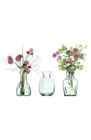 LSA Set Of 3 Glass Vases