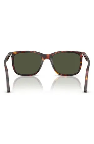 Persol 56mm Rectangular Sunglasses - Havana