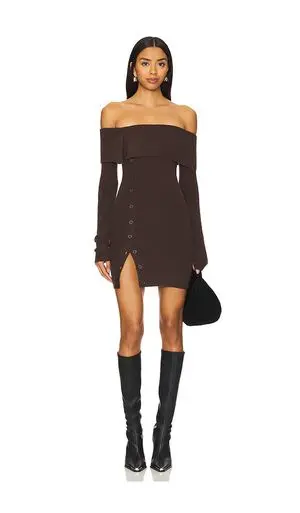 LOVERS AND FRIENDS Lexi Mini Dress - Brown