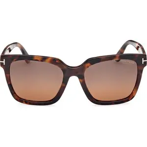TOM FORD Selby Square Sunglasses - Vntg Dk Havana/ Grad Smk Brown