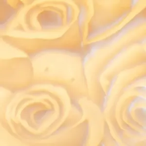 Bernardaud Roses Led Votivelight Lithophane