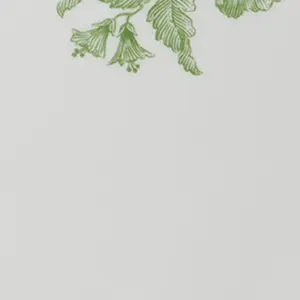Bernardaud Porcelain Albertine Oval Platter - Green