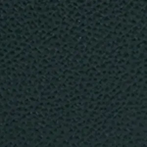 Wolf Vegan Leather 10-piece Watch Box - Green