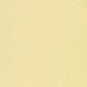 TRUDON Spiritus Sancti Diffuser Refill
