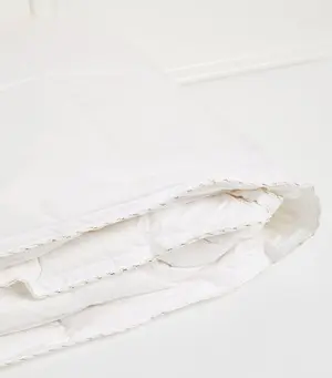 BRINKHAUS King Chateau Canadian Goose Down Light Duvet