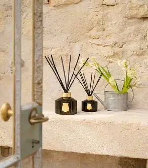 TRUDON Abd El Kader Great Diffuser