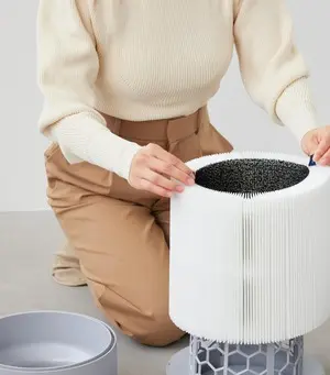 BLUEAIR Blu 3450i Max Air Purifier