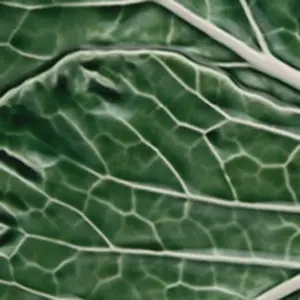 BORDALLO PINHEIRO Cabbage Platter