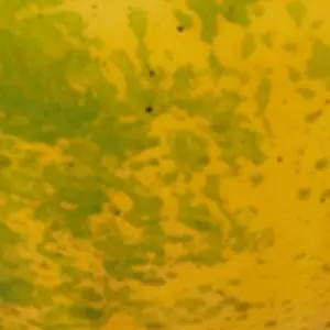 BORDALLO PINHEIRO Papaya Bowl