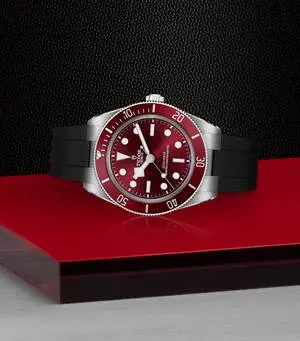 TUDOR Black Bay 58 Stainless Steel Watch