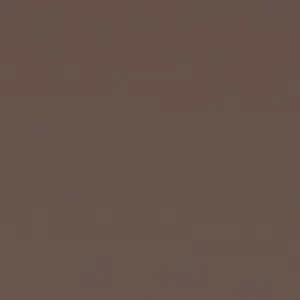 Saint Laurent Phantos Sunglasses