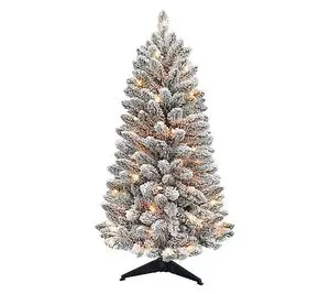 PULEO INTERNATIONAL Puleo 4ft Pre-lit Flocked Carson Pine Faux Christmas Tree - One-color