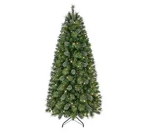 PULEO INTERNATIONAL 6.5ft Pre-lit Slim Teton Pi Ne Tree - One-color